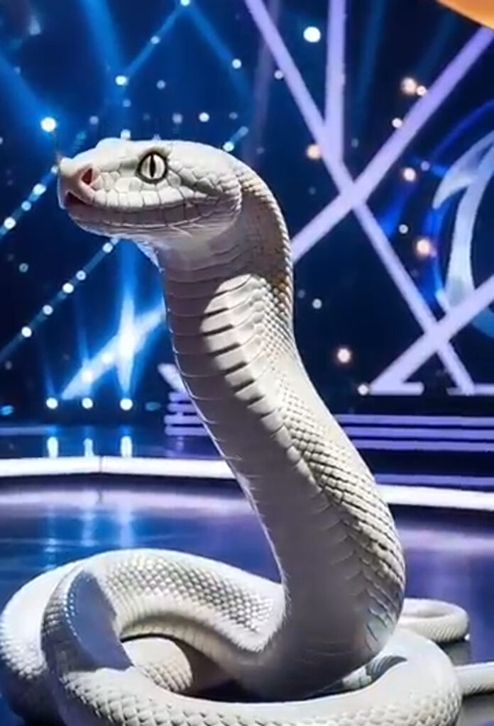 Beautiful Asian Woman Transforms Into a Snake — And It’s Stunning to ...
