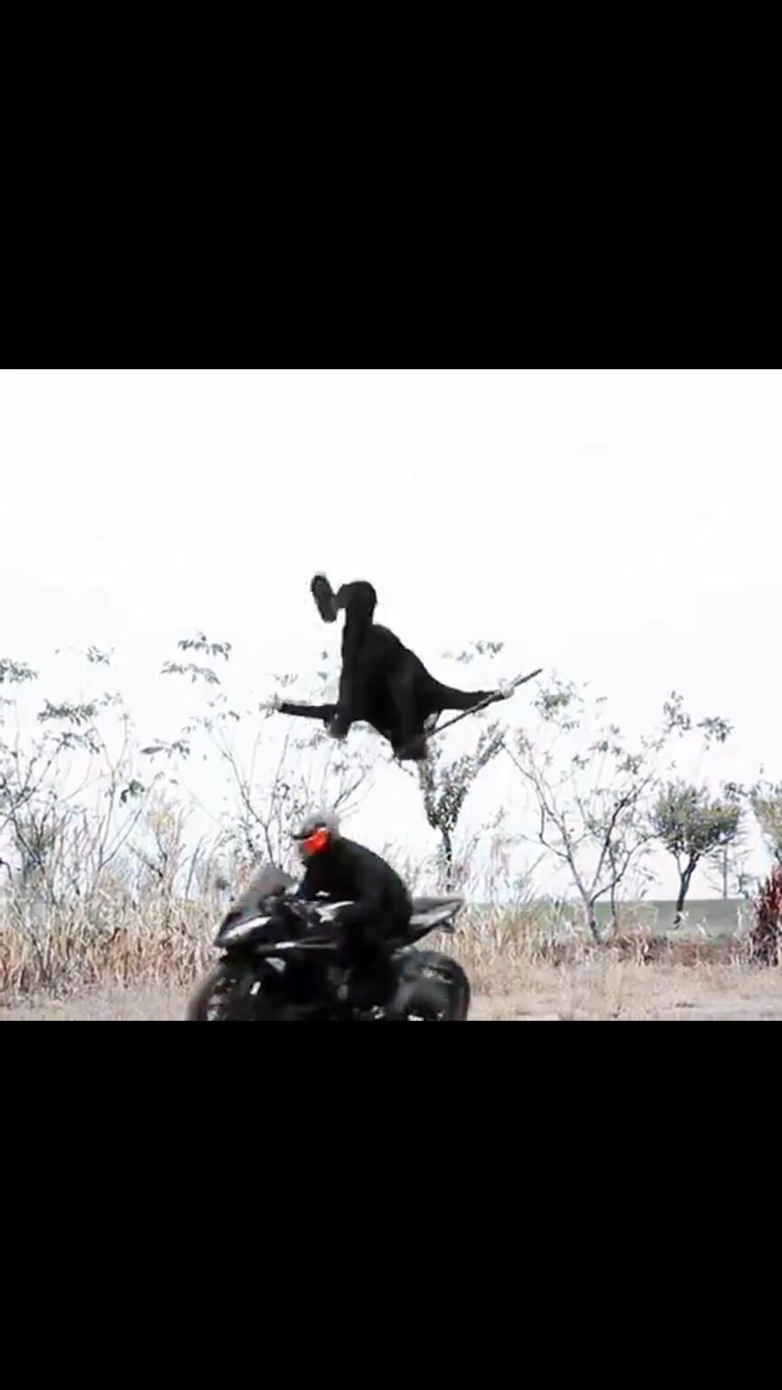 The World’s Fastest Swordsman: Isao Machii Defies Physics – ANIMALS